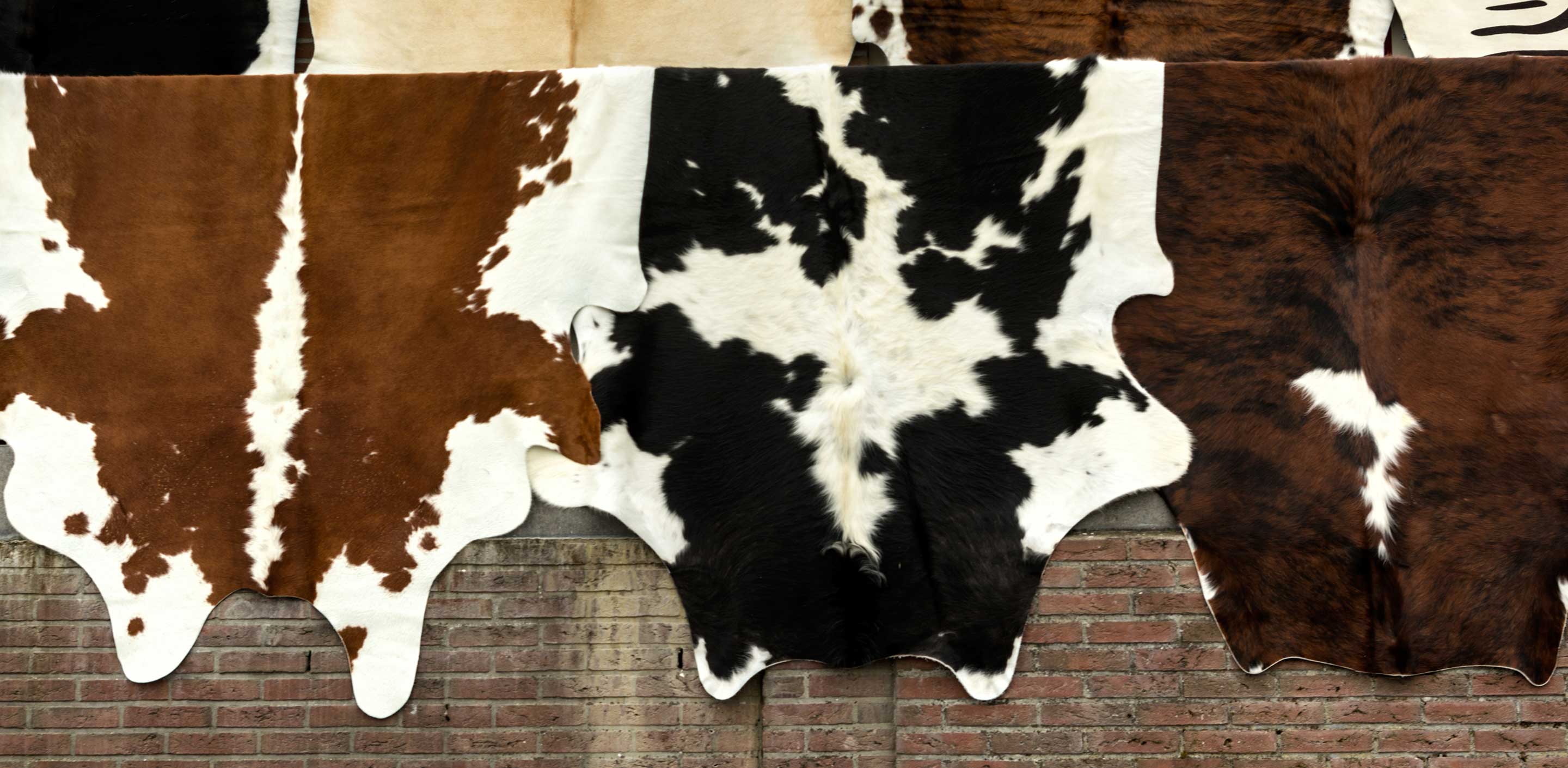 Calfskin store